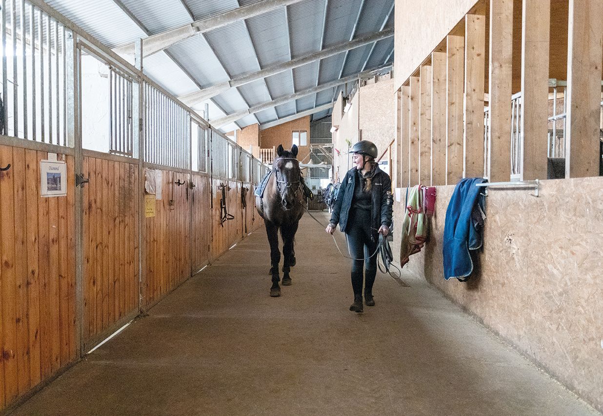 Stall Adam – en verksamhet med hållbarhet i fokus | Sveland ...